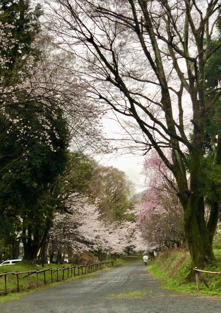 すみれの言葉(@sumire_gingetsu) - Twilog (ツイログ)