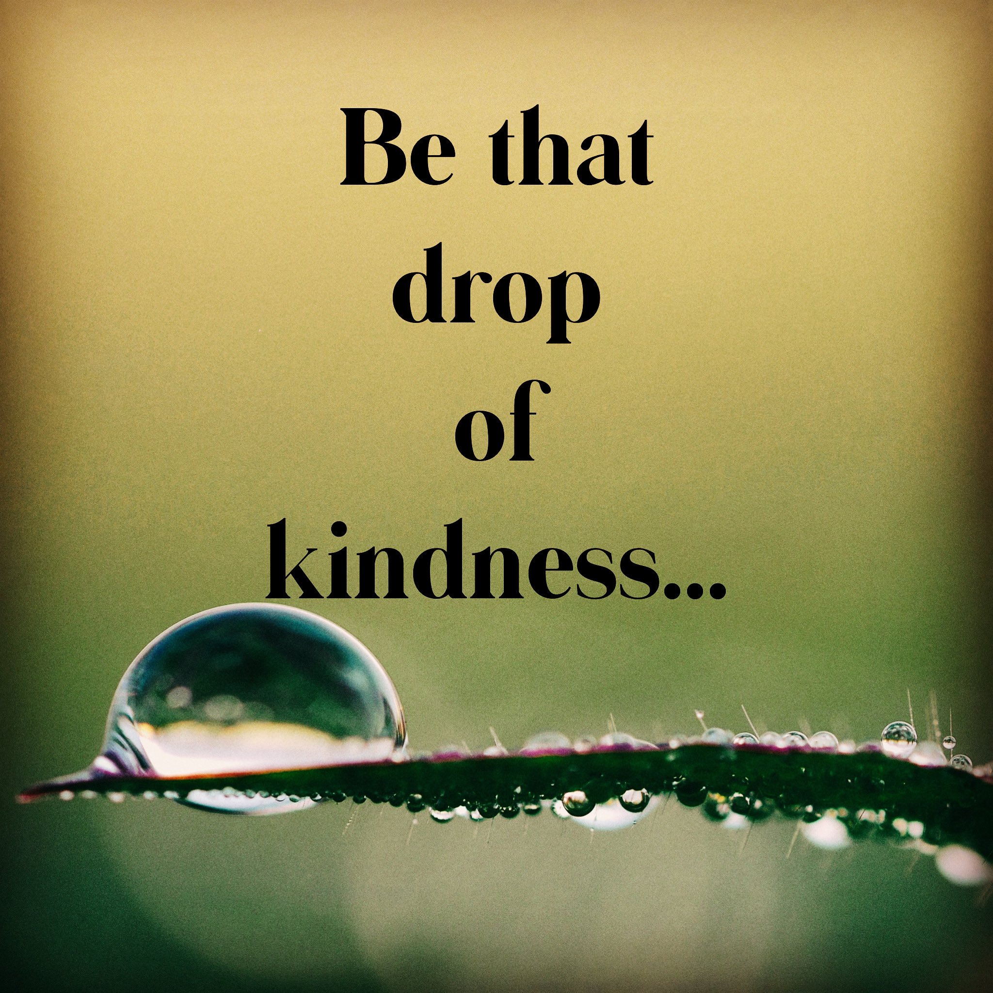 Nouman Ashraf (@S_Nouman_Ashraf) / Twitter