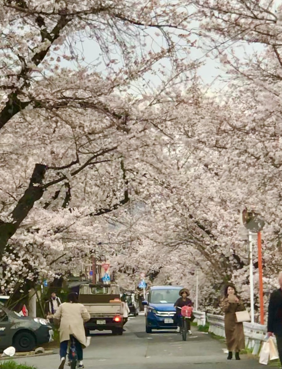 すみれの言葉(@sumire_gingetsu) - Twilog (ツイログ)