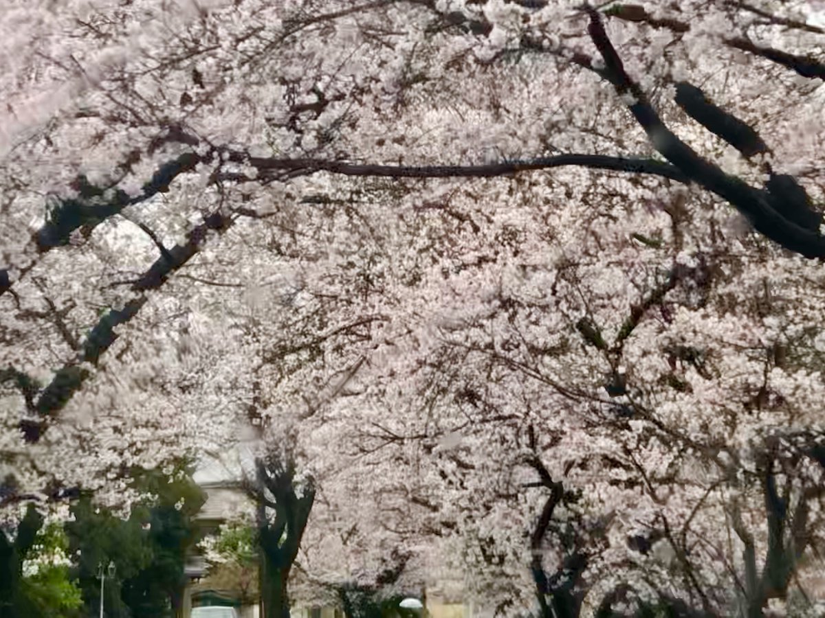 すみれの言葉(@sumire_gingetsu) - Twilog (ツイログ)