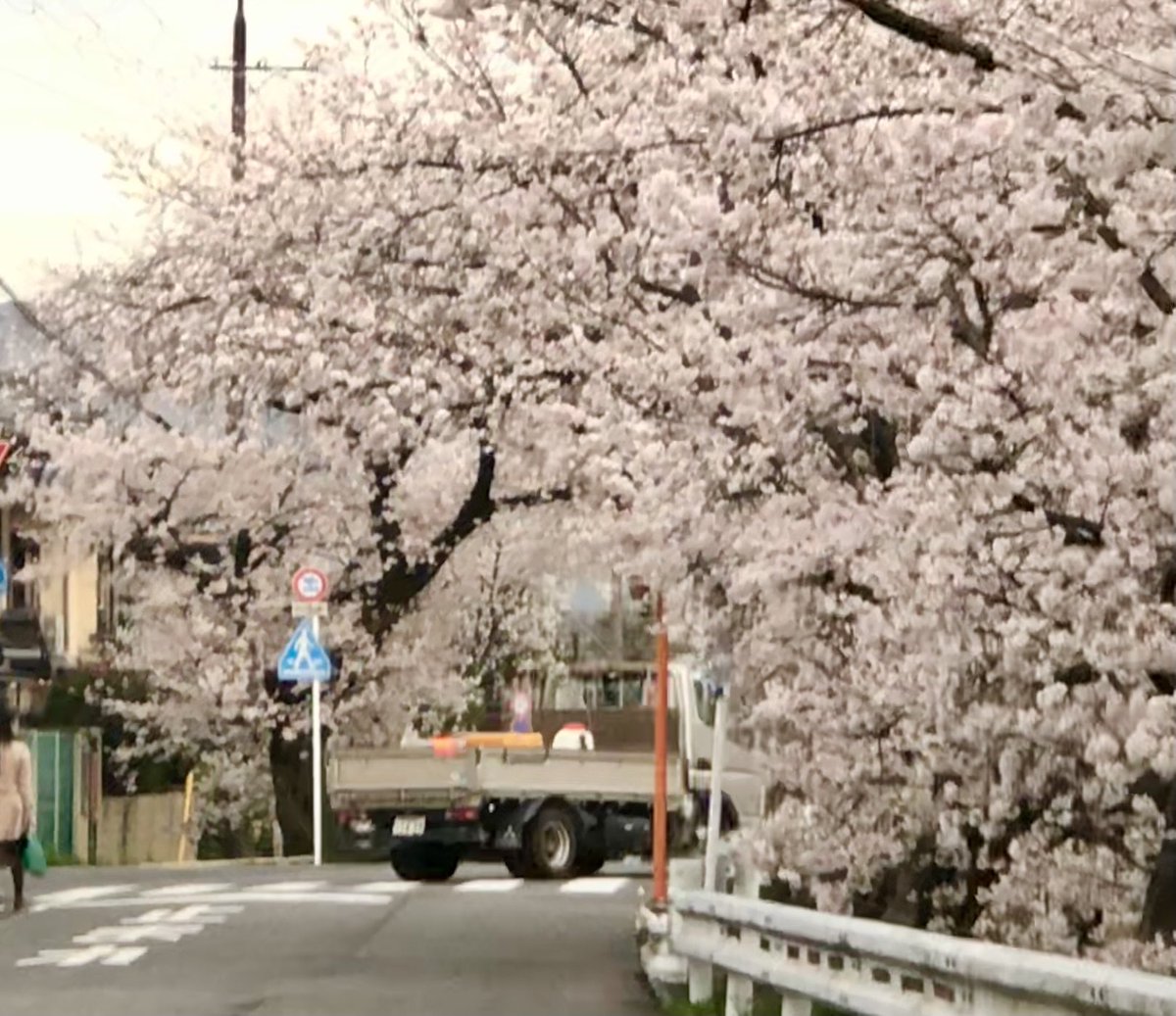 すみれの言葉(@sumire_gingetsu) - Twilog (ツイログ)