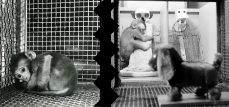 The way your mother held you creates all of your future relationships ...