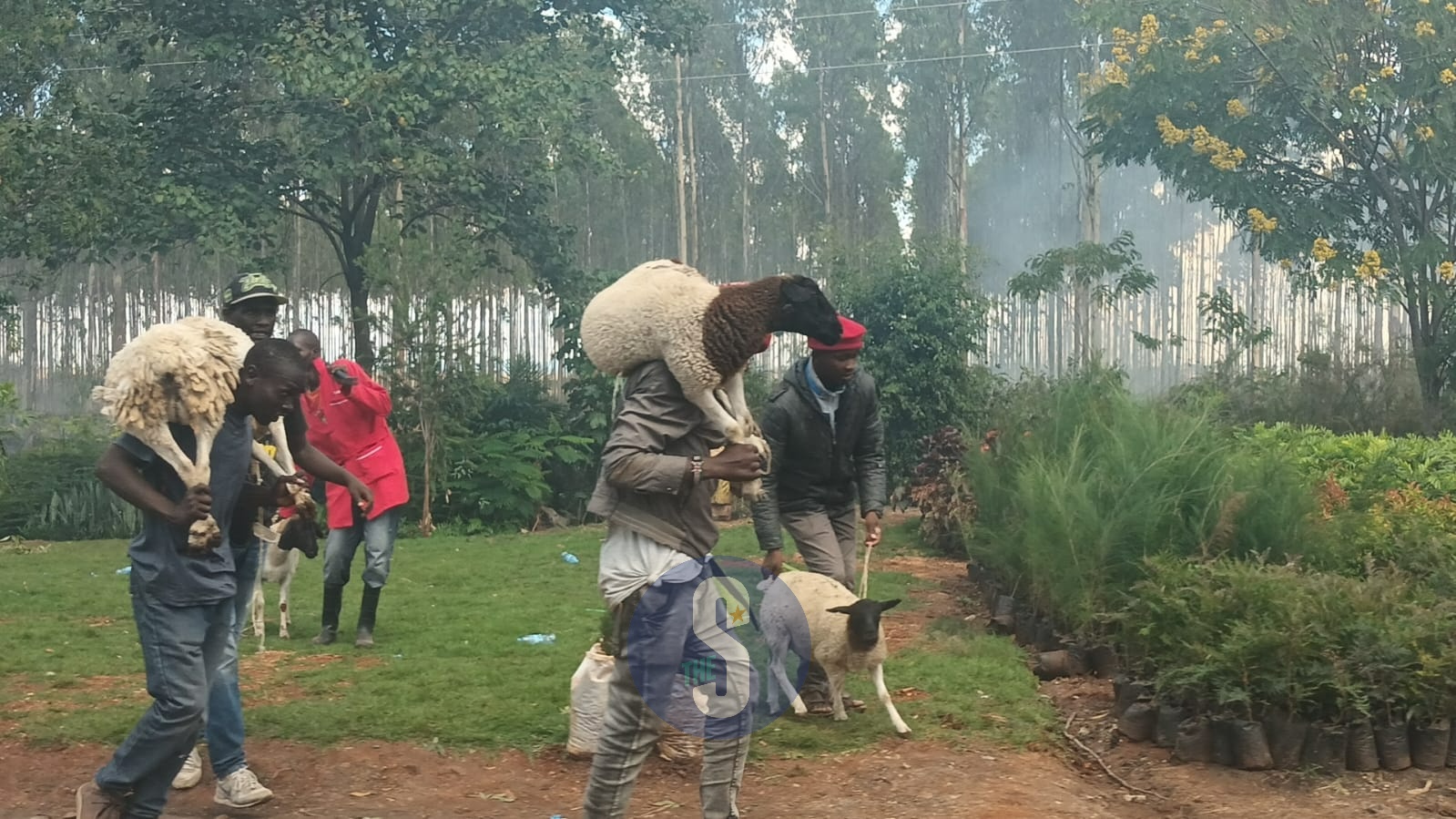 smokinmirror on Twitter: "Absolutely no one: "Sewersydaa" "Go hard or go home makondoo si hua ...