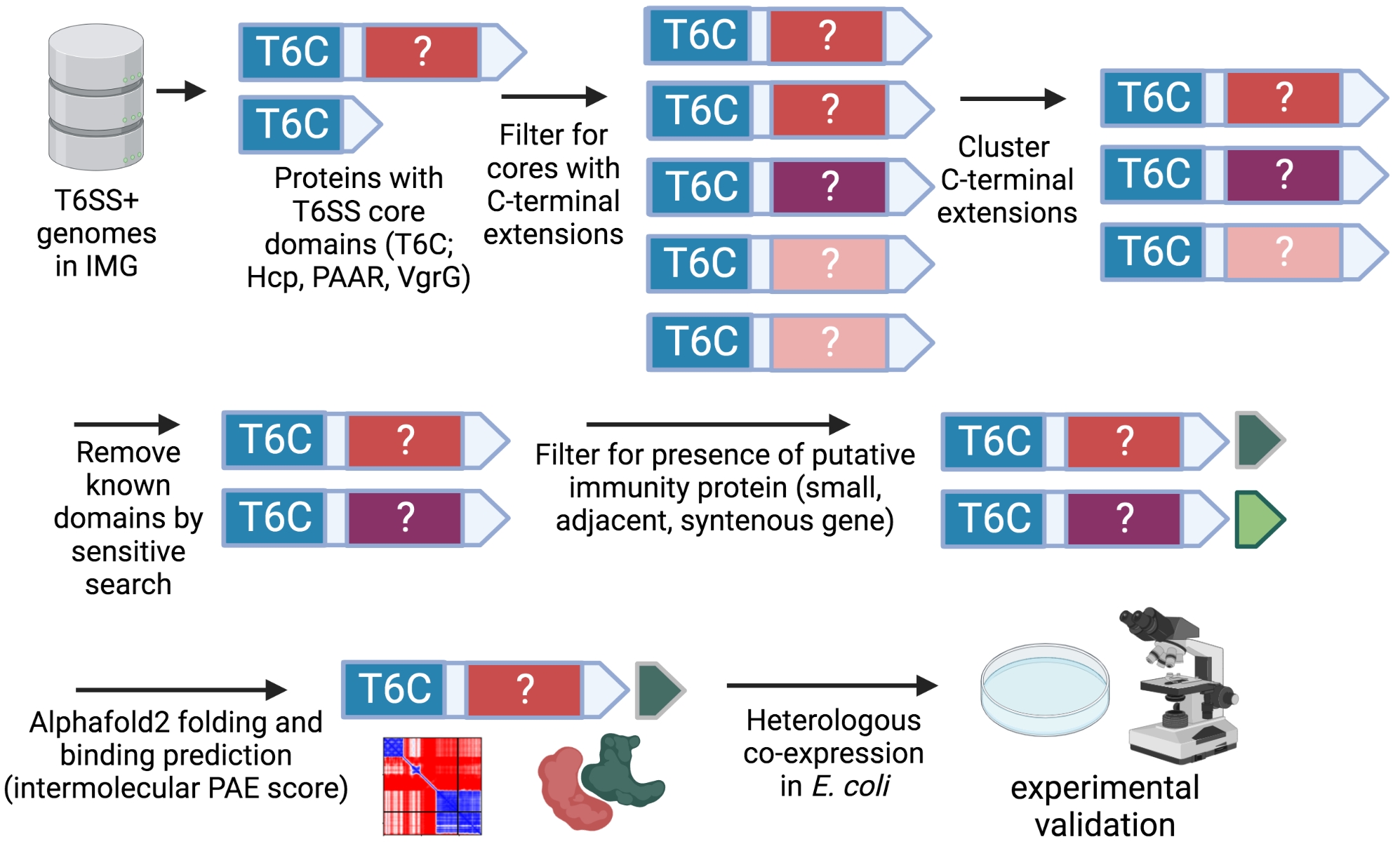Asaf Levy on Twitter: "We started with 12K T6SS encoding genomes, retrieved 43.5K T6SS core ...