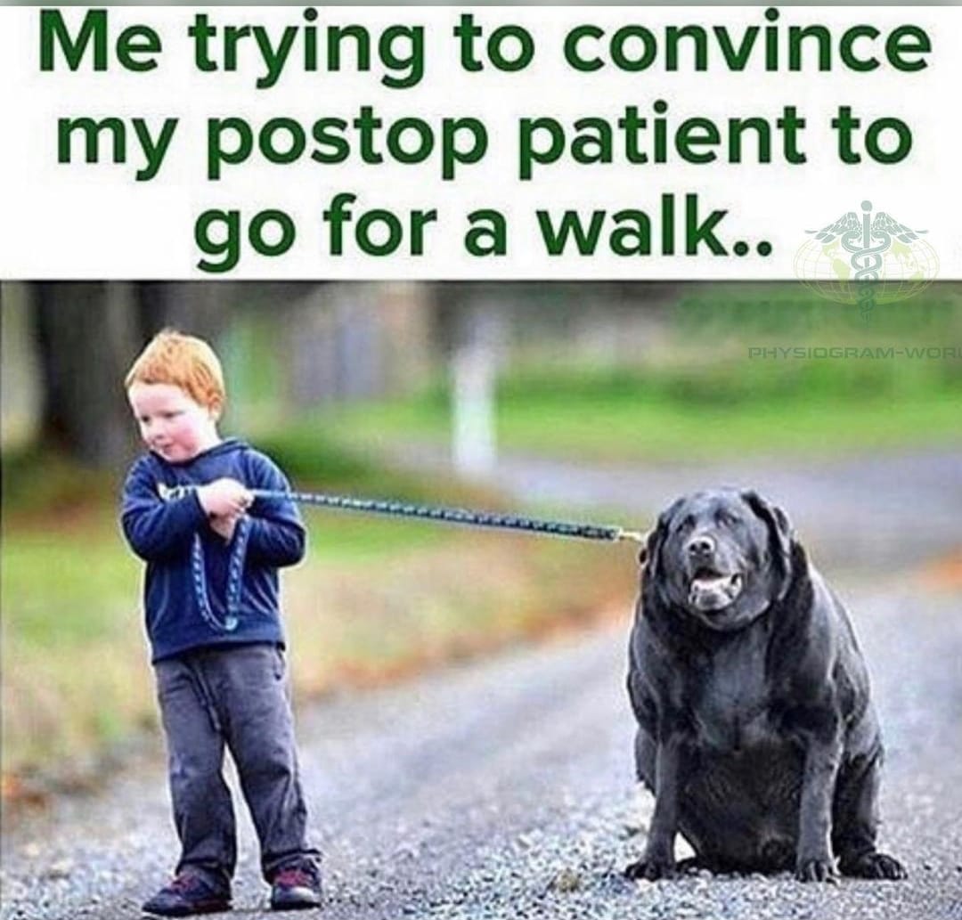 Dutch P.T. (@dutch_pt) / Posts / X