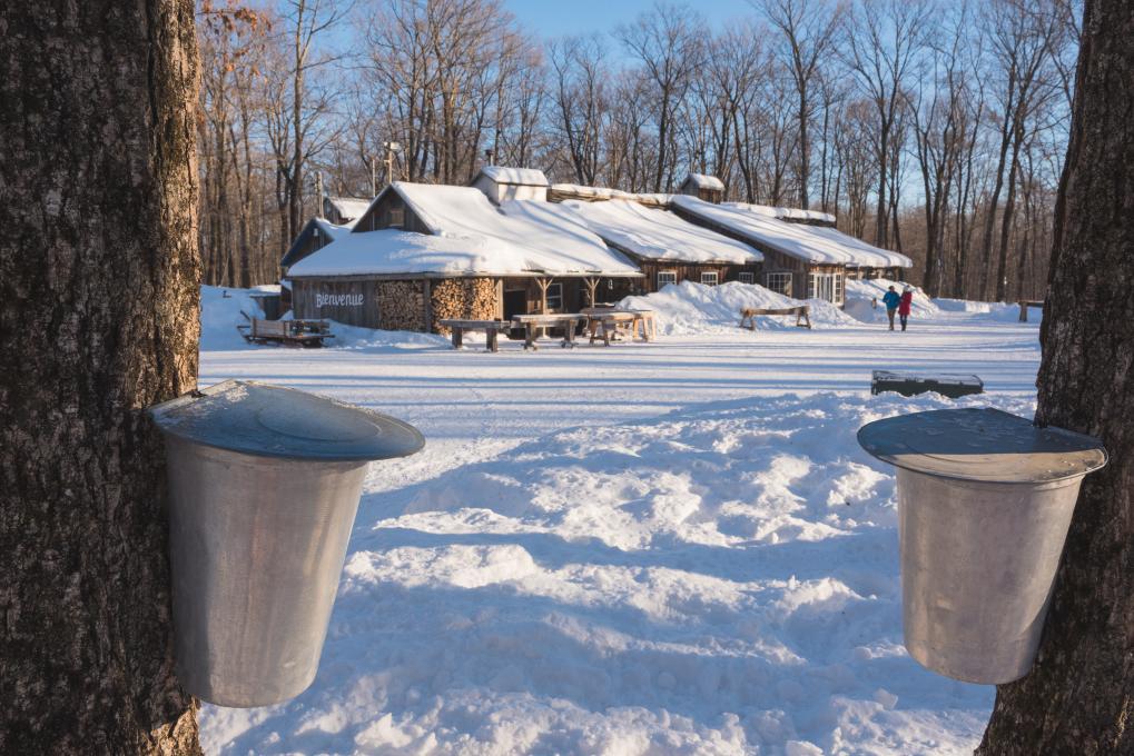 Canuckle 🇨🇦 on Twitter: "Canuckle #316: SHACK 🏠🥞 The end of March means ...