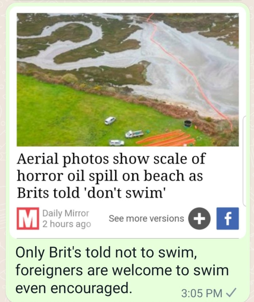 Robert Bird on Twitter: "Is it just me or does it seem like there's something wrong with me or ...