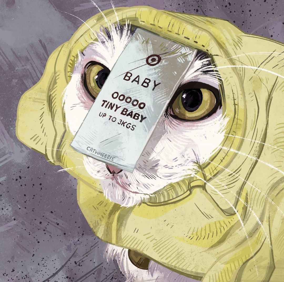 catwheezie on Twitter: "OOOOO tiny baby! https://t.co/PZ1mcxoWY2" / Twitter