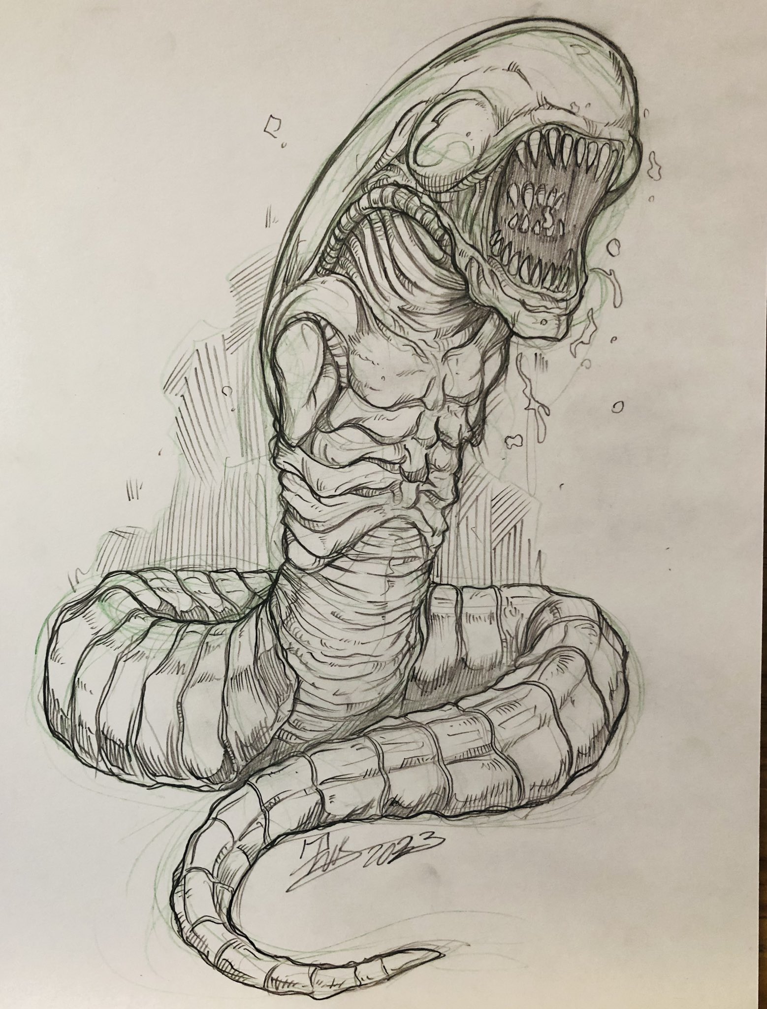 Xenomorph Chestburster Drawing Xenomorph Queen Mother Sketch | Alien