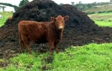 FARM LESSON: ORGANIC MANURES (Definition, Examples and Advantages): (a ...