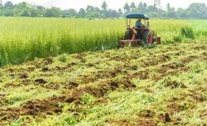 FARM LESSON: ORGANIC MANURES (Definition, Examples and Advantages): (a ...