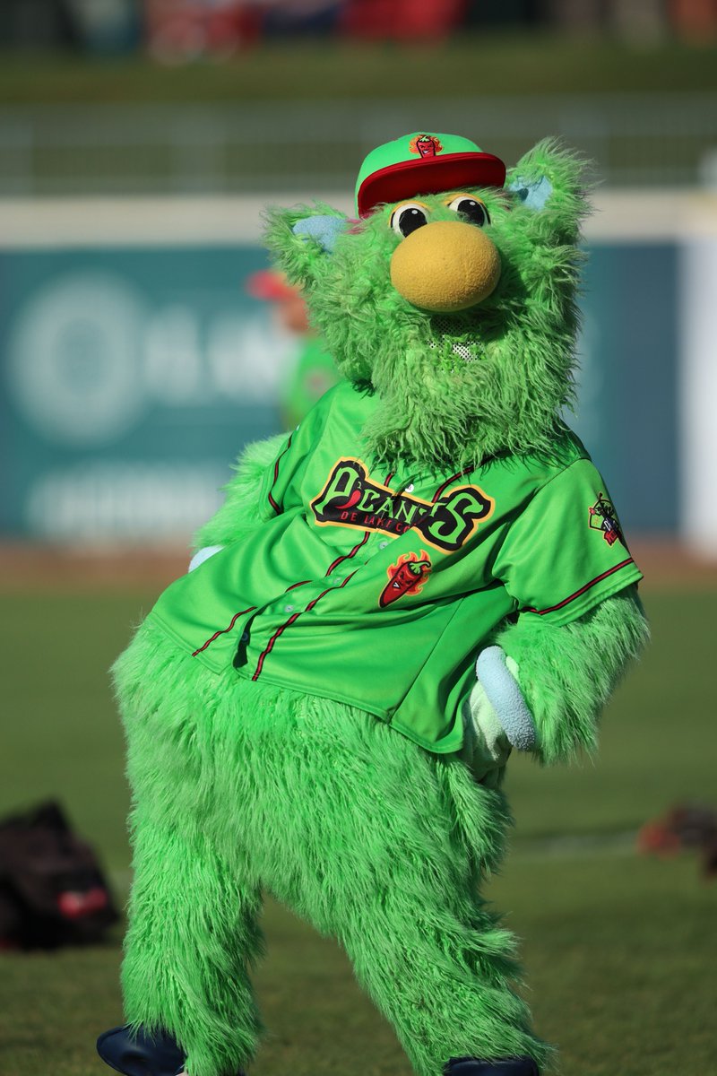 Lake County Captains on Twitter: "Who has what it takes to compete against Skipper in the Mascot ...