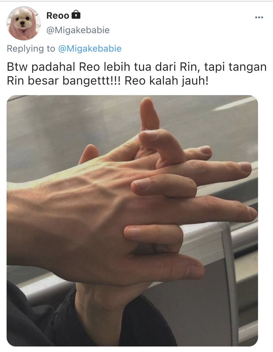 Mikki on Twitter: "Reo live report"