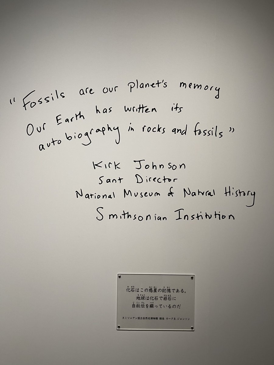 Yoko Higuchi on Twitter: