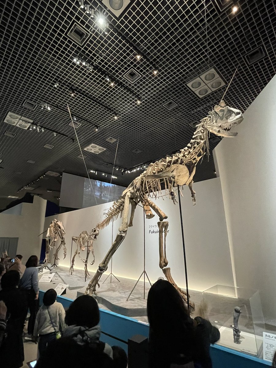 Yoko Higuchi on Twitter: