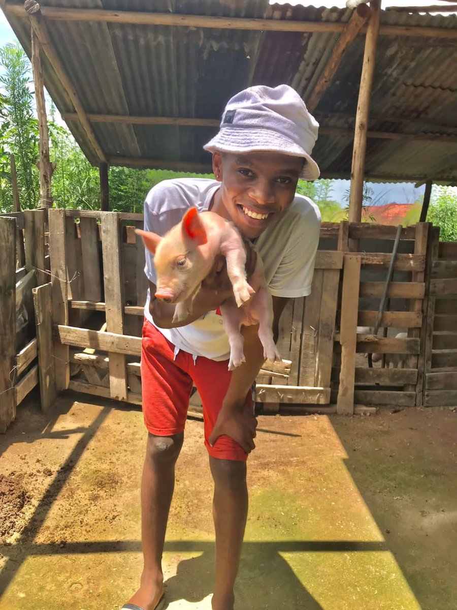 Enigma🇿🇲 🇿🇦 🗨 on Twitter: "RT @Agric_young: In tomorrow's story, we are going to profile a young ...