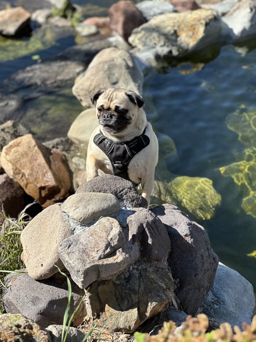 TW Pornstars - Dana Vespoli. Pictures and videos from Twitter. Page 12