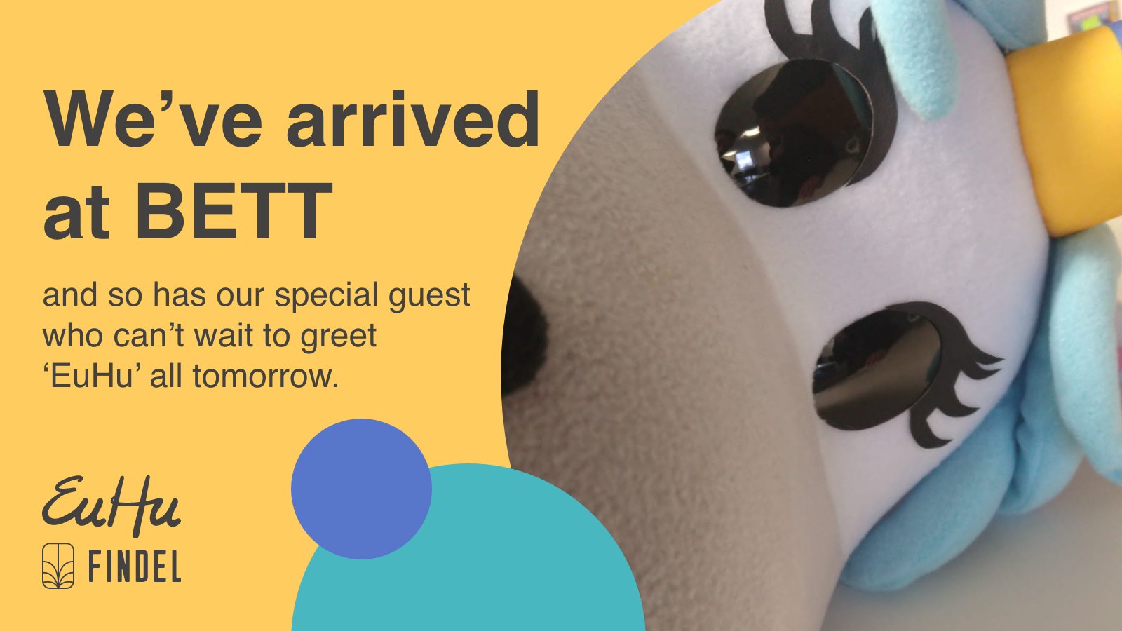 EuHu (@EuHu_findel) / Twitter