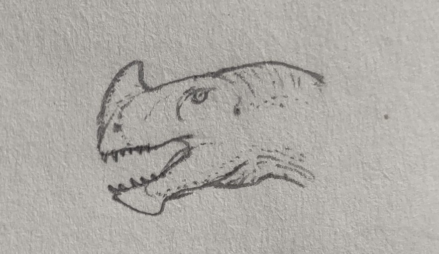 思弁之進化男（しべのしかお） on Twitter: "RT @kogane_dinodraw: この前描いた，スカンソリオプテリクス起源のワイバーン・リメイク！ 翼の付き方を変えたらしっくり ...