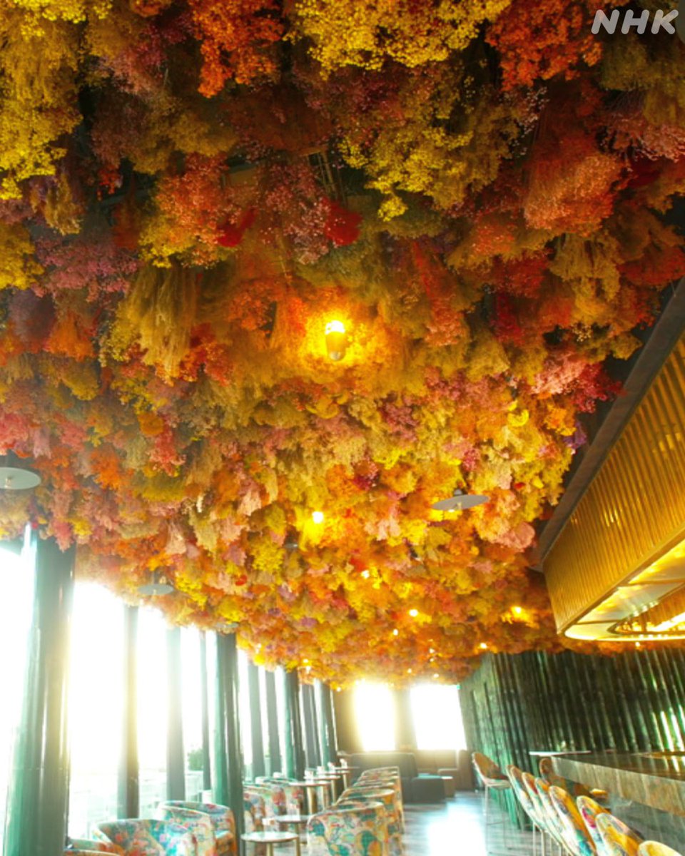幸せの花束をめぐる旅を含むツイート ついふぁん!
