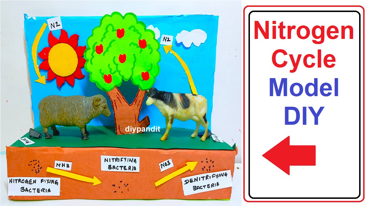 Easy Nitrogen Cycle