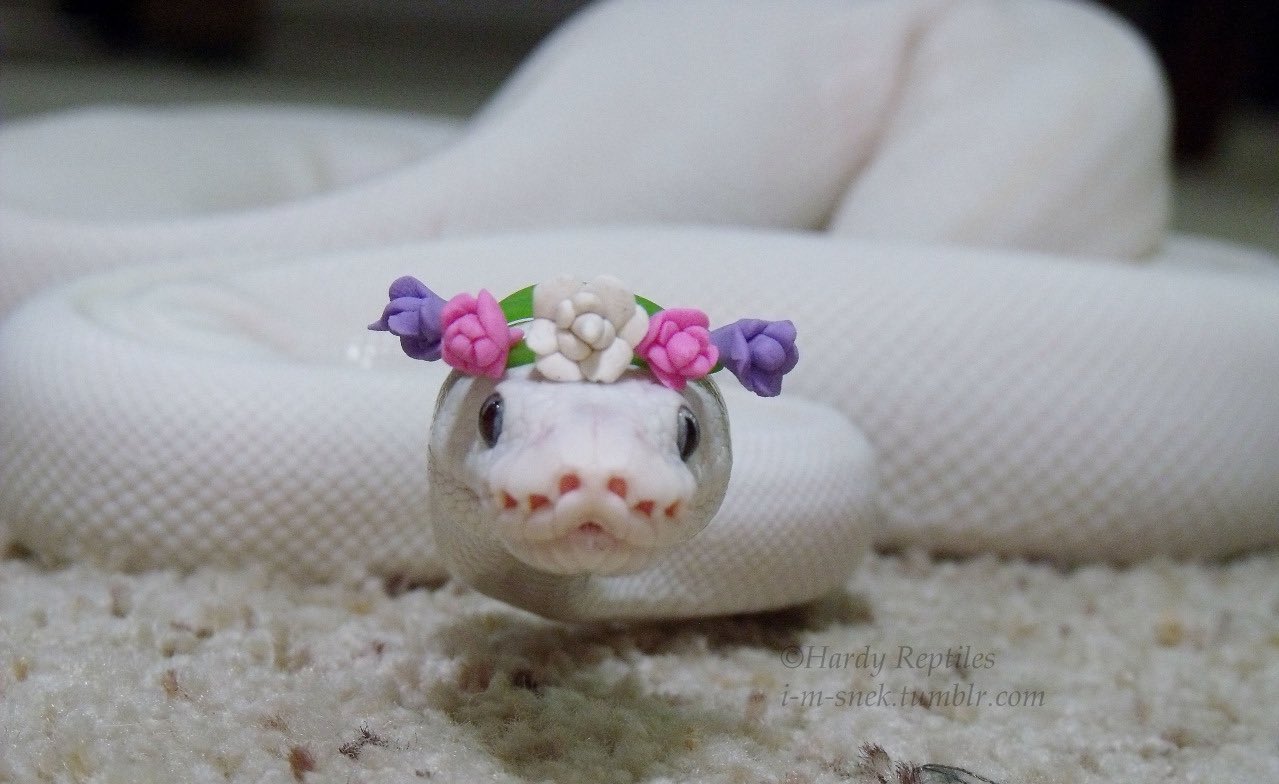 Flower Crown Quotes Tumblr