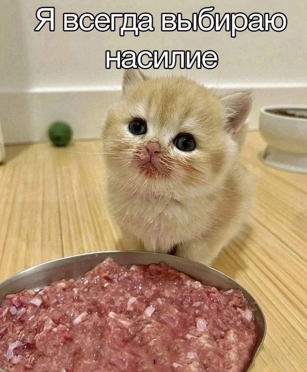 Russian Memes United on Twitter: Russian Memes United on Twitter: