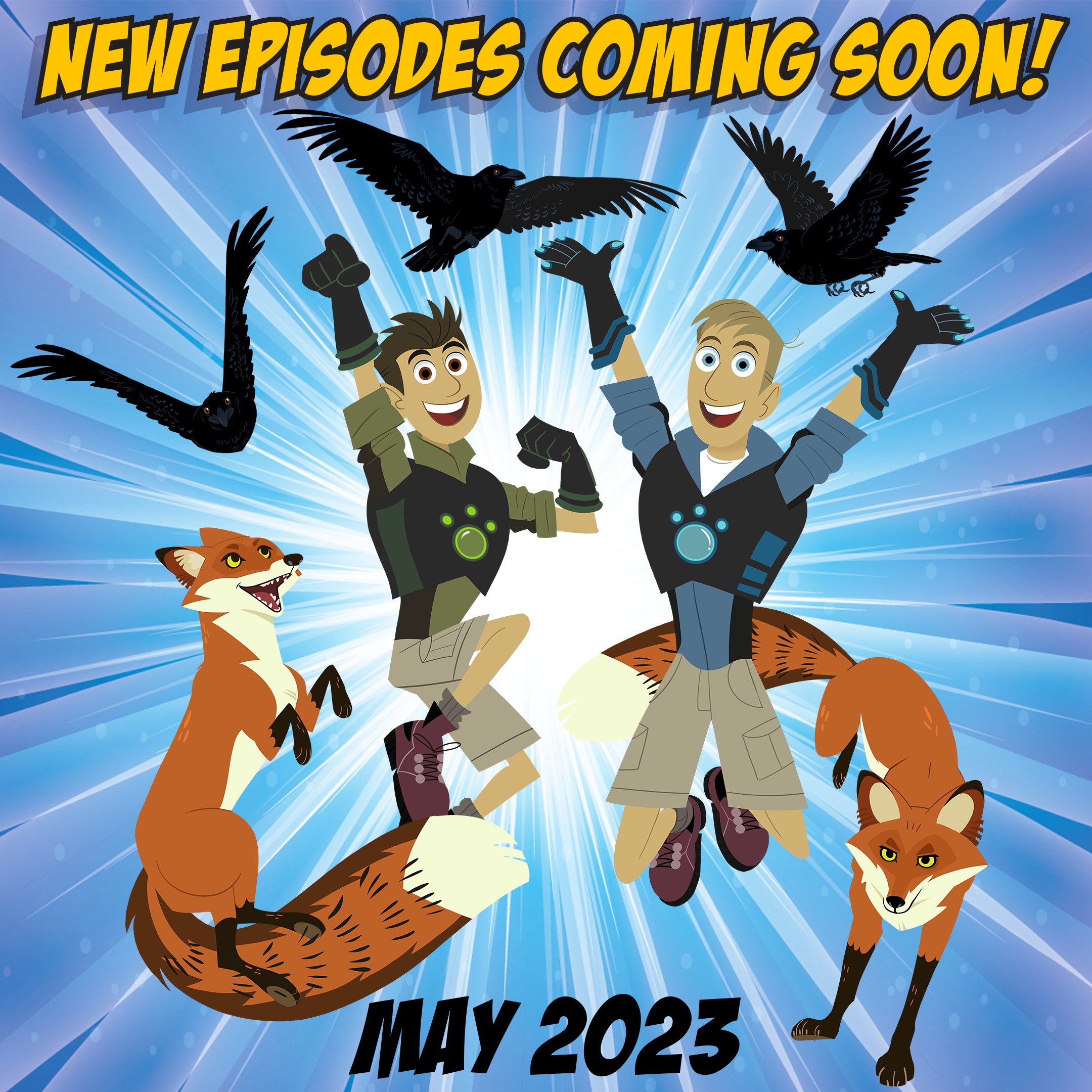 Wild Kratts Bison Disc