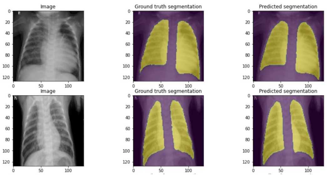 Pouria Rouzrokh on Twitter: "Last week, I taught a three-hour workshop on "Medical Image # ...