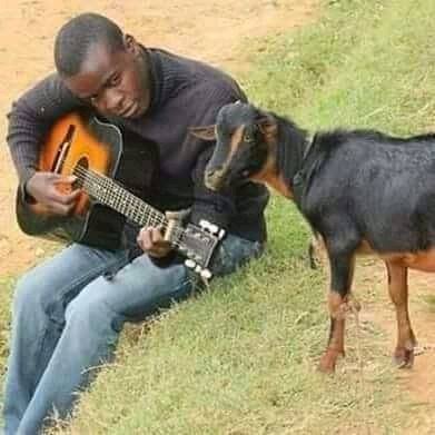 We have ALL heard about the G.O.A.T - Greatest Of All Time. There's a ...