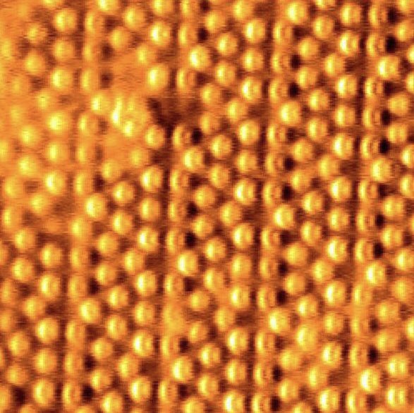 Gold Atom Microscope