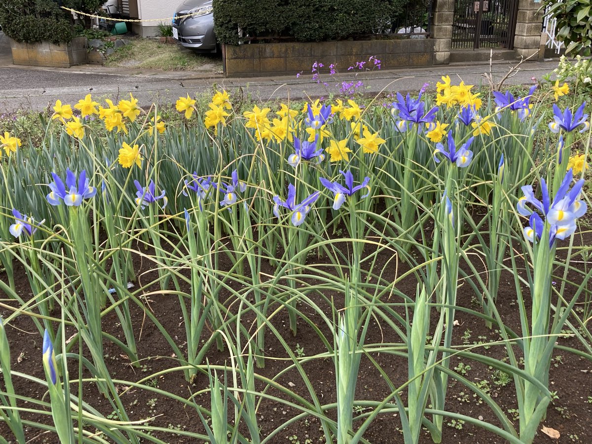 Aki Takeuchi(@noelsora) - Twilog (ツイログ)