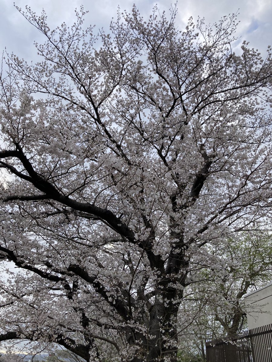 Aki Takeuchi(@noelsora) - Twilog (ツイログ)