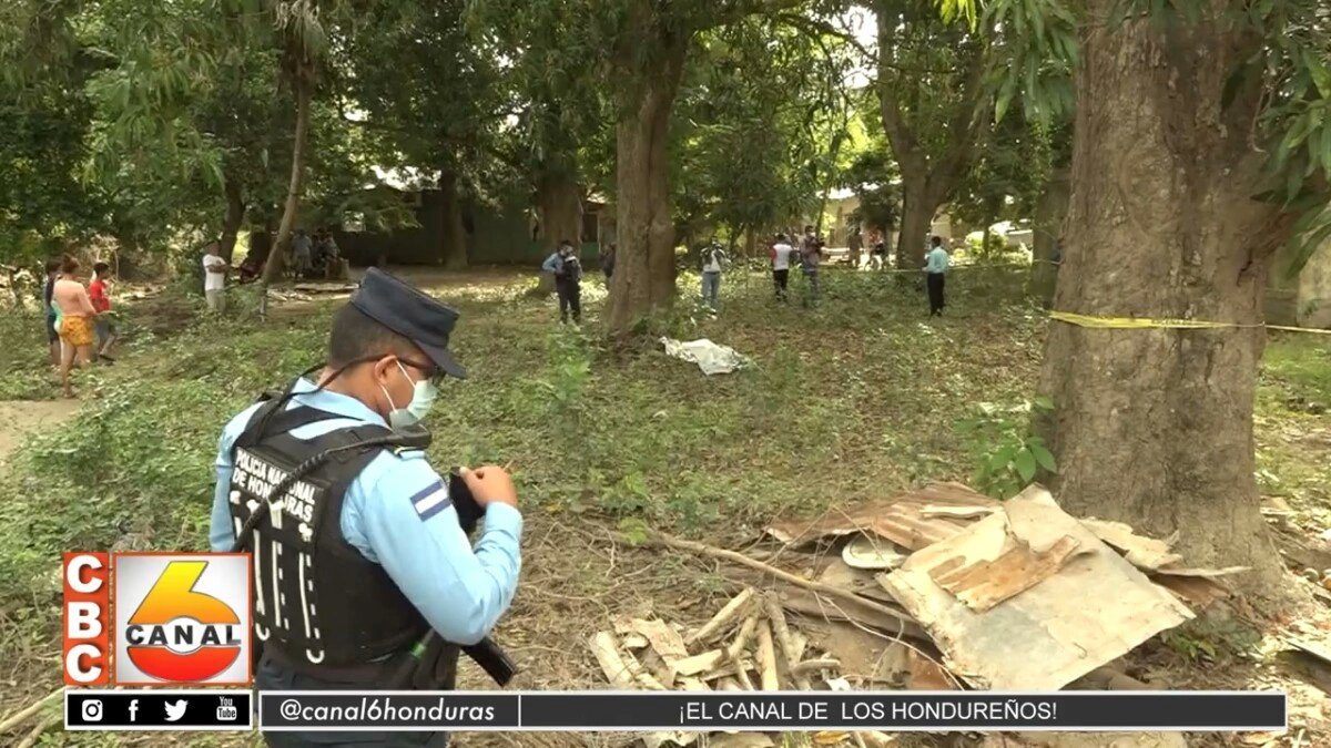 Canal 6 Honduras On Twitter Noticias Con La Tasa Más Alta De