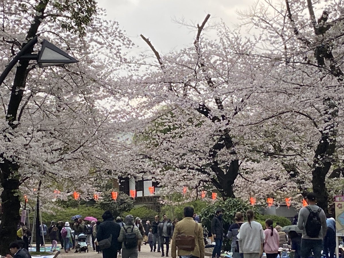 のしたん（Noriko Maeda）(@chocogelate) - Twilog