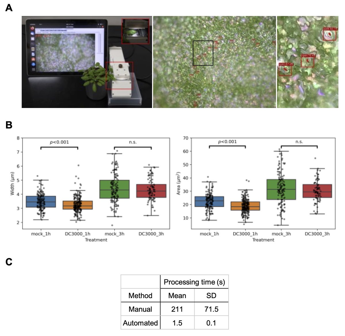 Plant Cell Physiology on Twitter: "Advance Access🚅: Regular Paper in Special Issue on 'Human ...