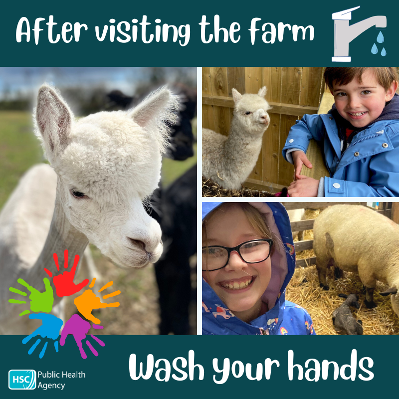 Public Health Agency on Twitter: "When visiting farms over the May ...