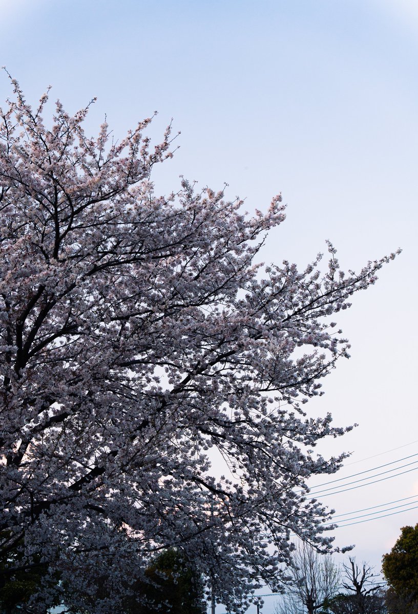 MokuSaku(@mokusakurock) - Twilog