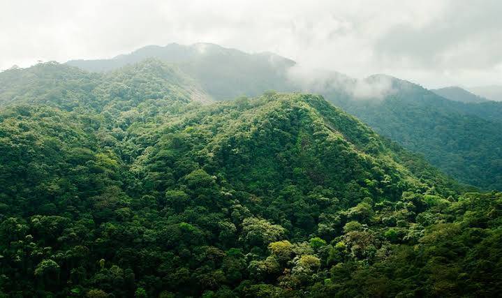 Africa View Facts on Twitter: "Sierra Leone's 🇸🇱 name was derived from ...
