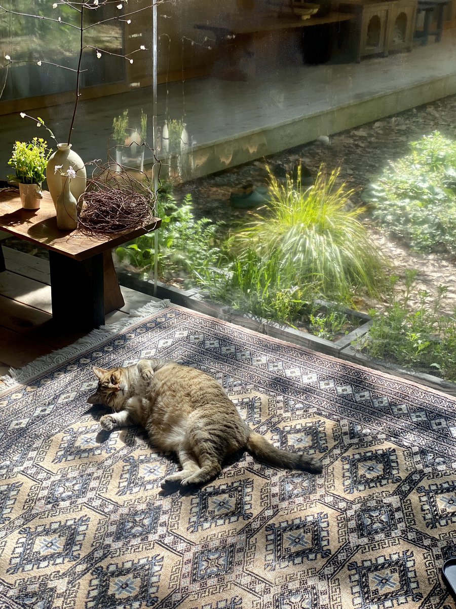 atsu_sasa(@atsu_sasa) - Twilog (ツイログ)