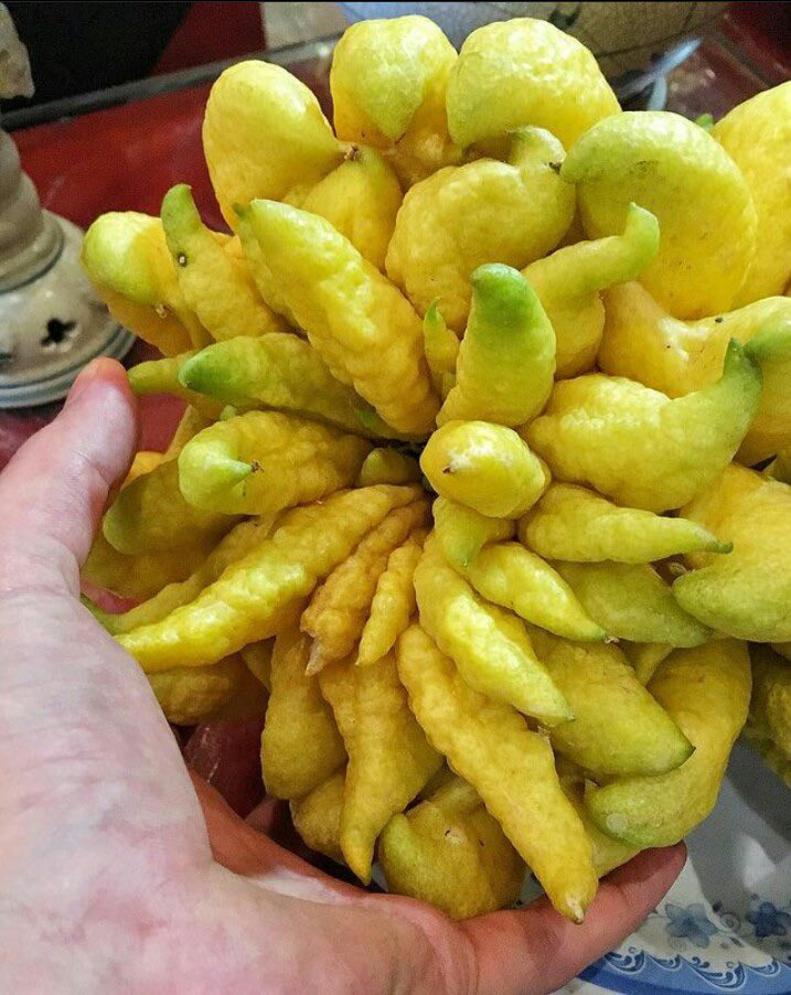 12 Rare Indian Fruits That Will Amaze You With Their Uniqueness 1. Star ...