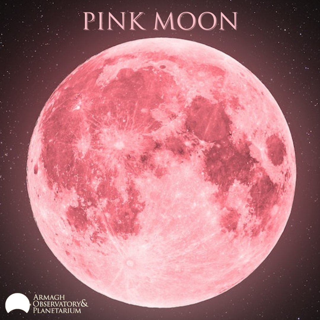 Pink Lunar Eclipse