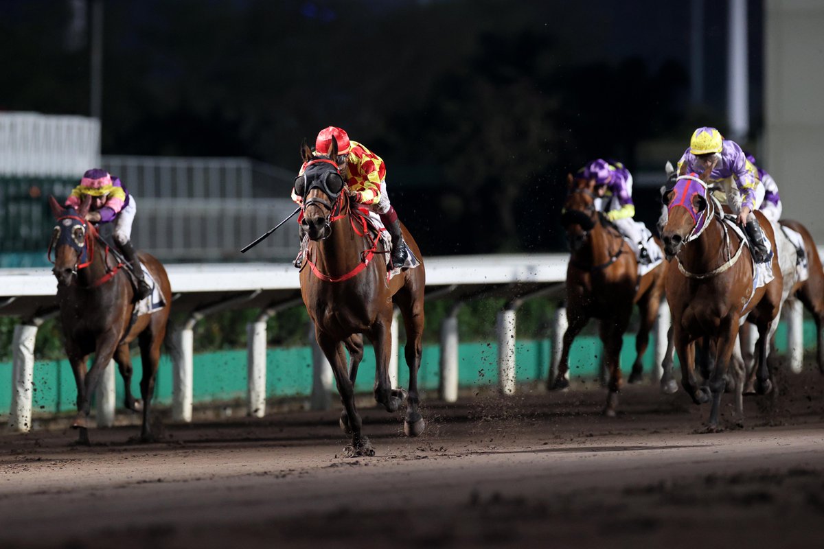 One-act affair, Shining Fortune! 💥 HKJC Racing @hkjc_racing
