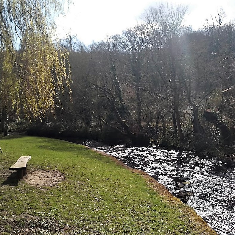 RVCG – Protecting the Rivelin Valley