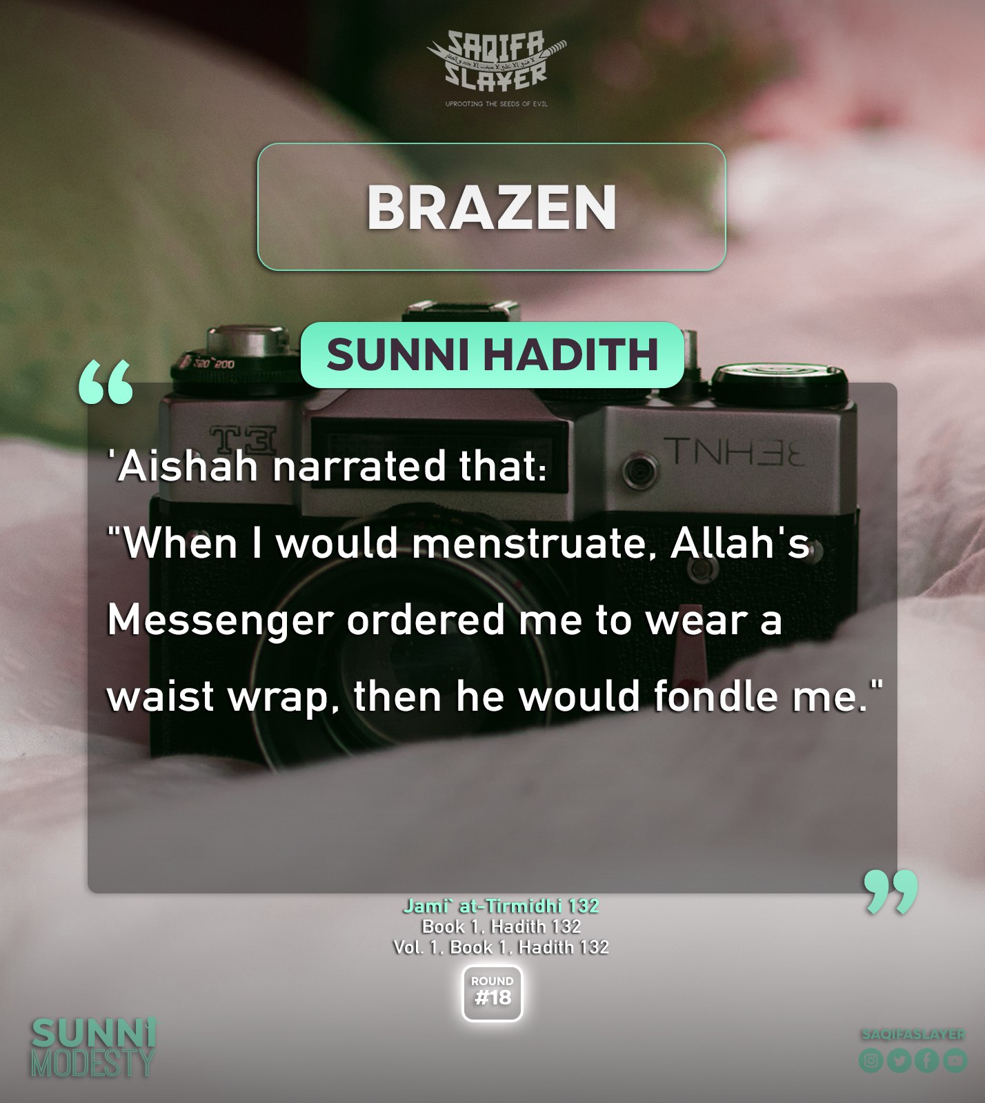 Saqifa Slayer on Twitter: "18. Sunnis Modesty vs Shia Modesty! A thread explaining Ayesha’s ...