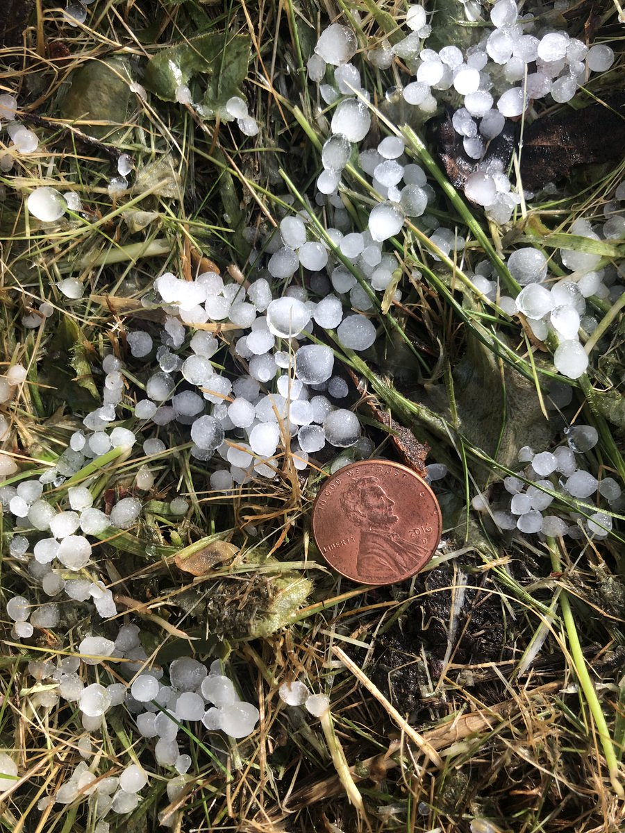 Paul Heggen On Twitter Rt Mr Ngky Todays Hail In Sanfrancisco