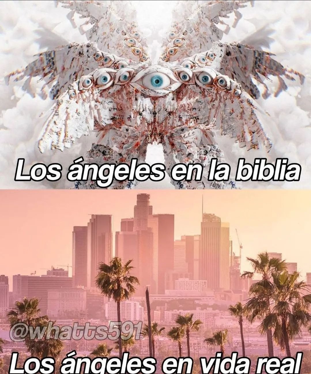 Imágenes De ángeles De La Vida Real Ángeles Inesperados, La