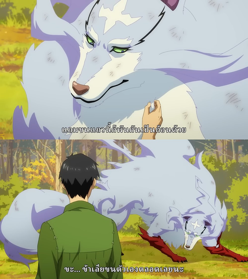 Muse Thailand on Twitter: "สุนัขที่บ้านคุณ be like... . . . . รับชมอนิเมะ : สกิลสุดพิสดารกับมื้อ ...