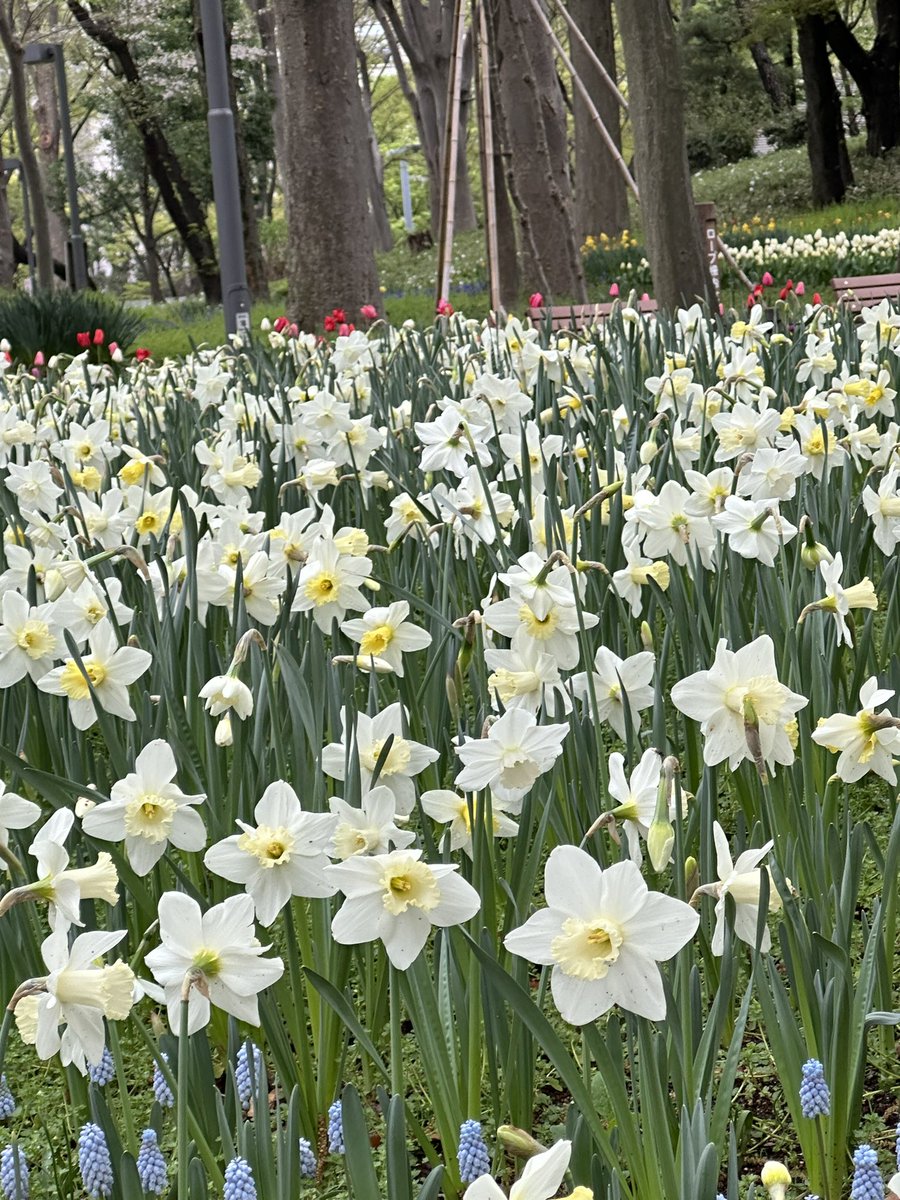 koichi fujikawa(@fuji_iiotoko) - Twilog (ツイログ)