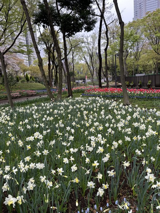 koichi fujikawa(@fuji_iiotoko) - Twilog